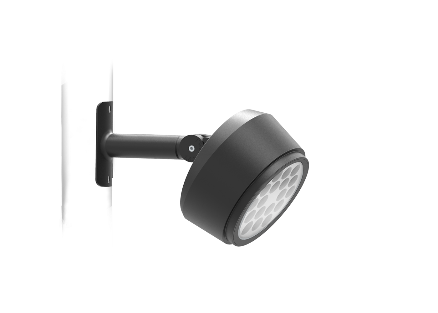 CICLO - APCL | Benito